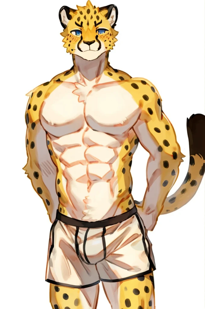 Furry, Anthro, cheetah, Male, E621, Standing, Muscular, Hands behind back, Wearing boxer shorts ...