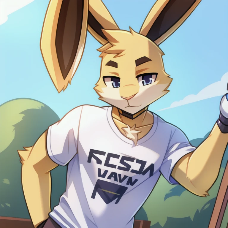 Solo, male, rabbit, yellow colored fur, lean body, anthropomorphic ...
