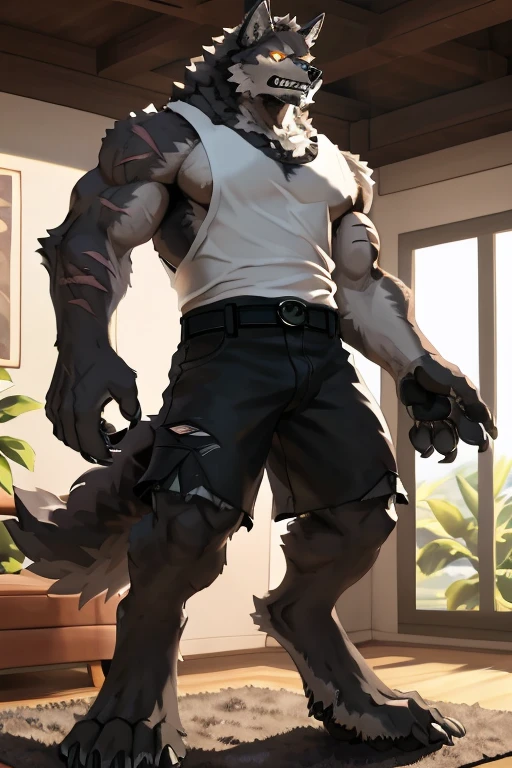 Close up, furry, anthro, giant werewolf,wolf ears,wolf tail, dark grey ...