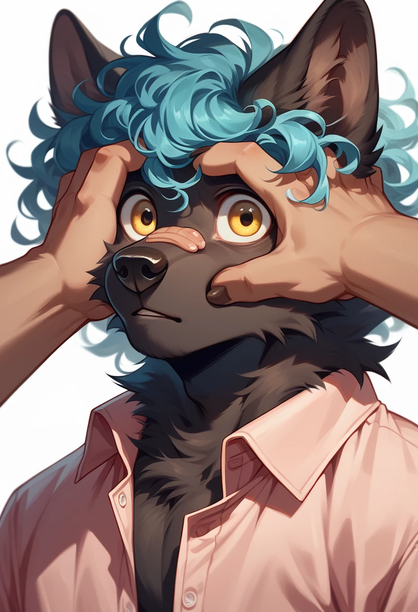 Brown wolf (((wolf))), canid, furry, (((focus on face))), ((dark brown ...