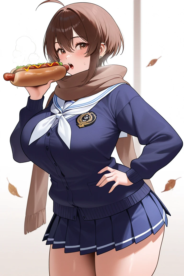 high image quality、 High Quality 、 high definition、 ANATOMICALLY ...