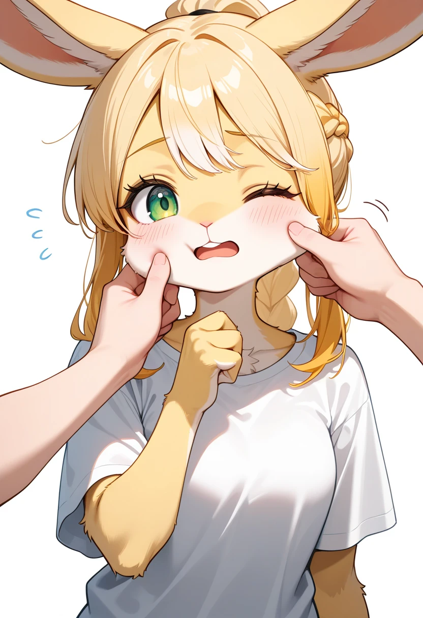 1girl, (furry, kemono:1.4), rabbit girl, animal nose, rabbit ears ...