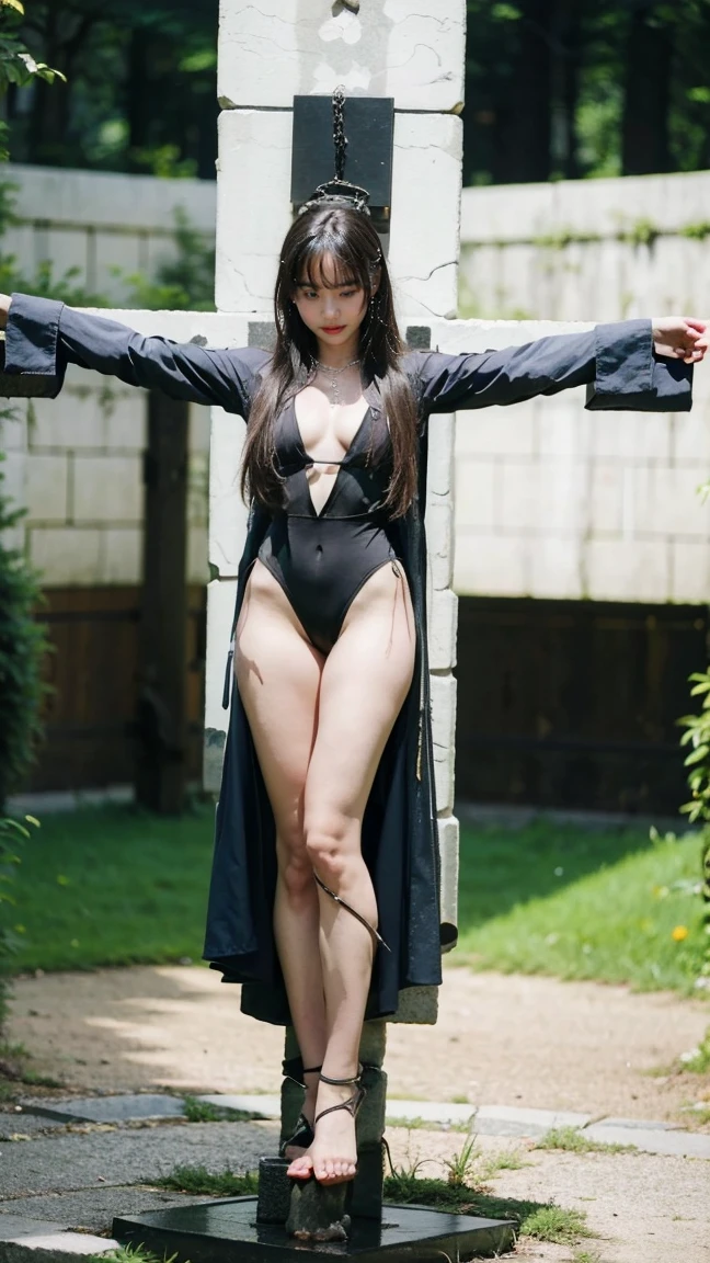 ((crucifixion))，(Cross)，(execution)，((incontinence))，Bruises on the face - SeaArt AI