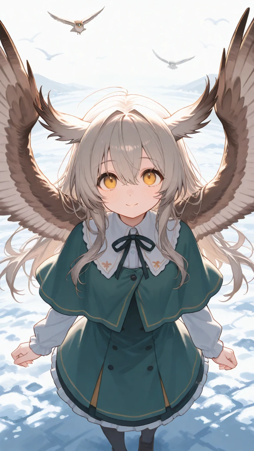 1girl\(ride on giant owl\(owl flying at high sky\)\),(from above ...