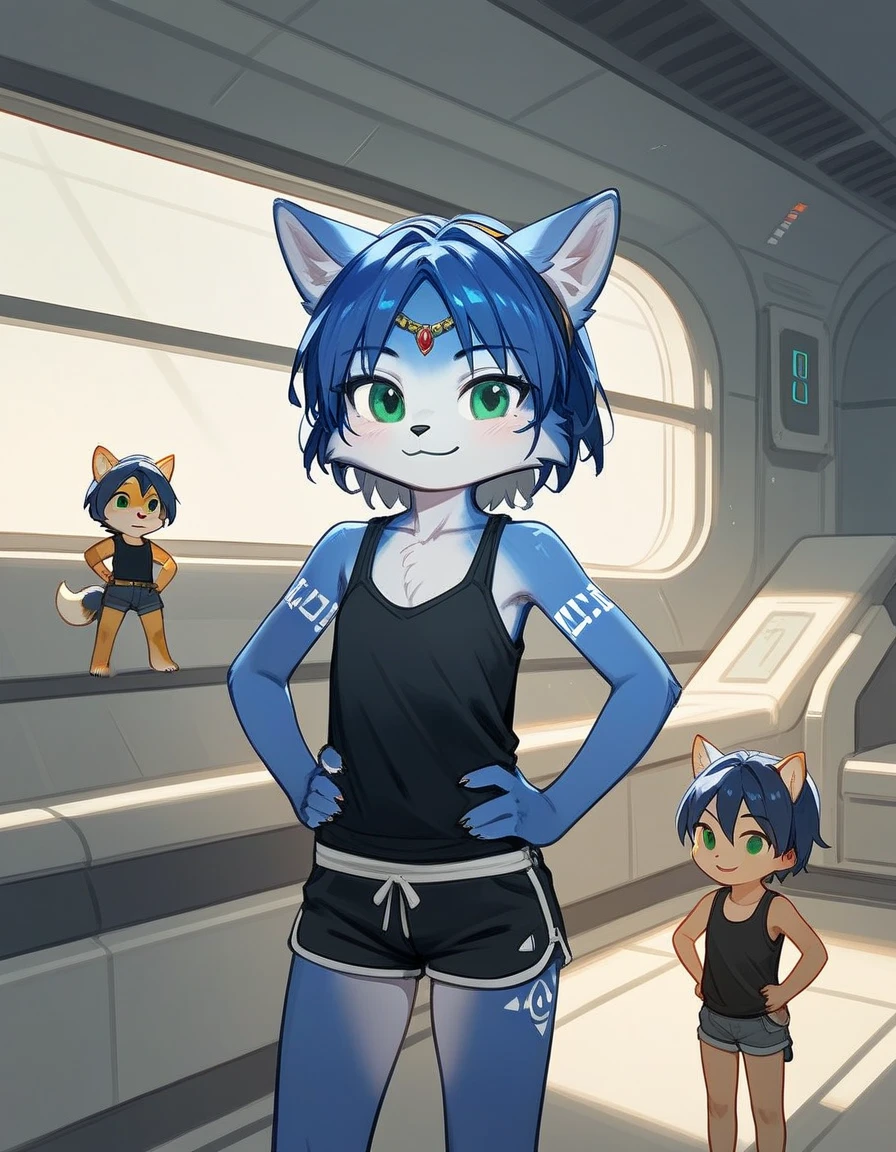 Score_9,score_8_up,score_7_up, source_furry, Krystal from starfox ...