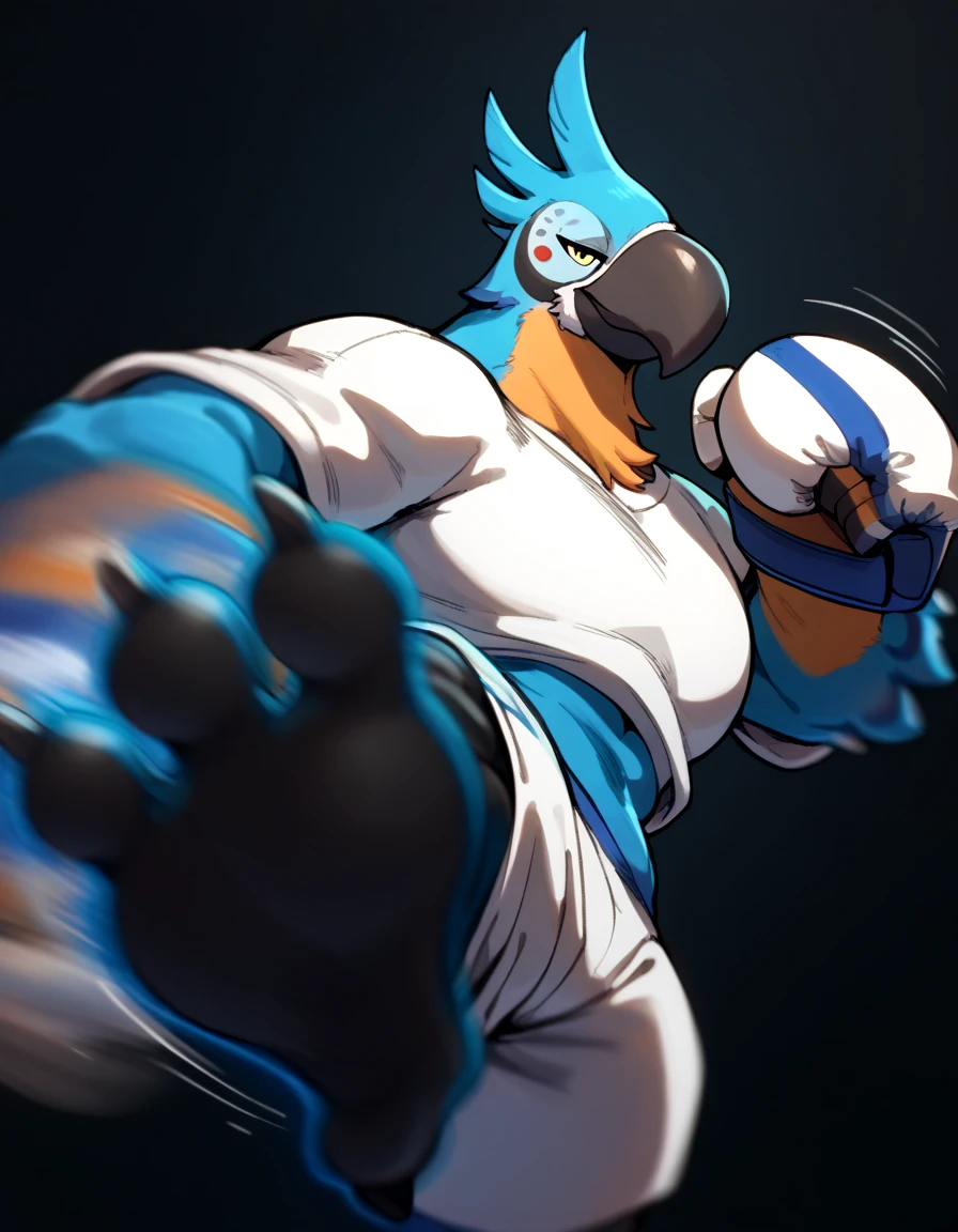 ZPDXL3, pov_kickboxing, kicking_the_viewer pov, foreshortening - SeaArt AI