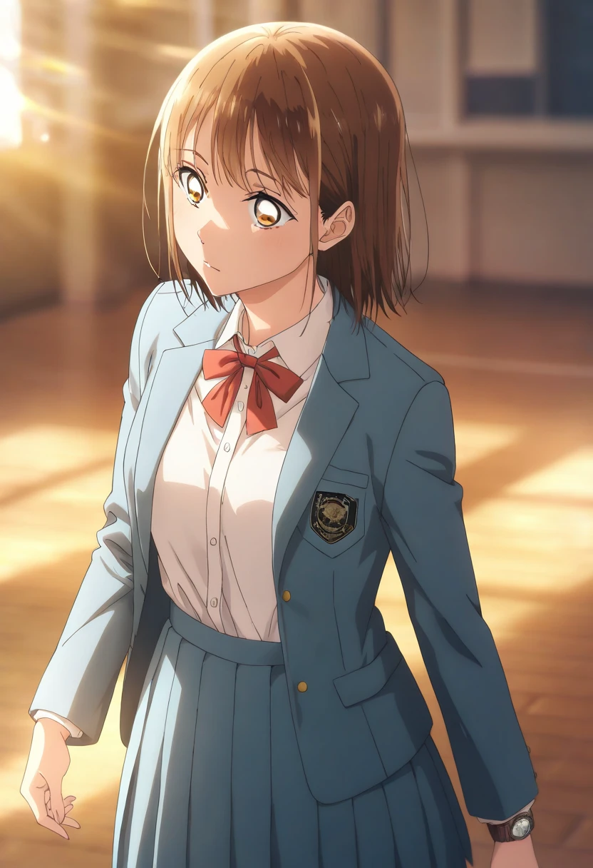 1 girl, Alone, chinatsu , blurry background with sunlight, school ...