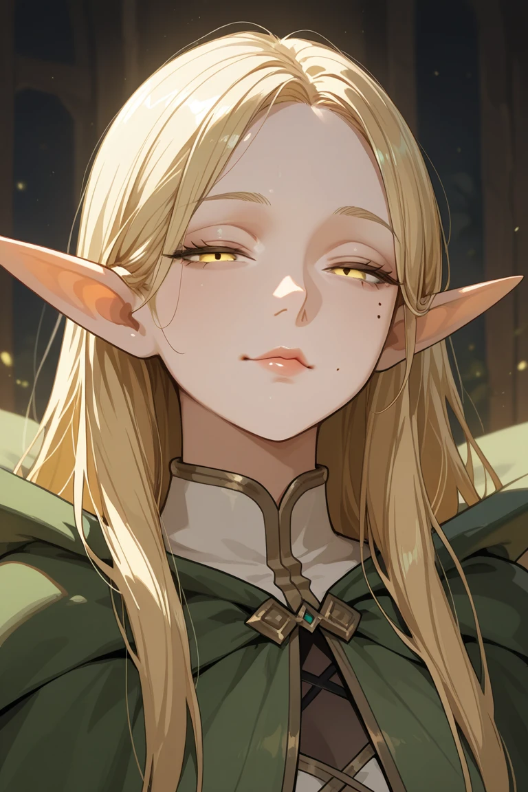 Elf girl, blonde hair, thin face, light eyes, sly look, narrowed eyes ...