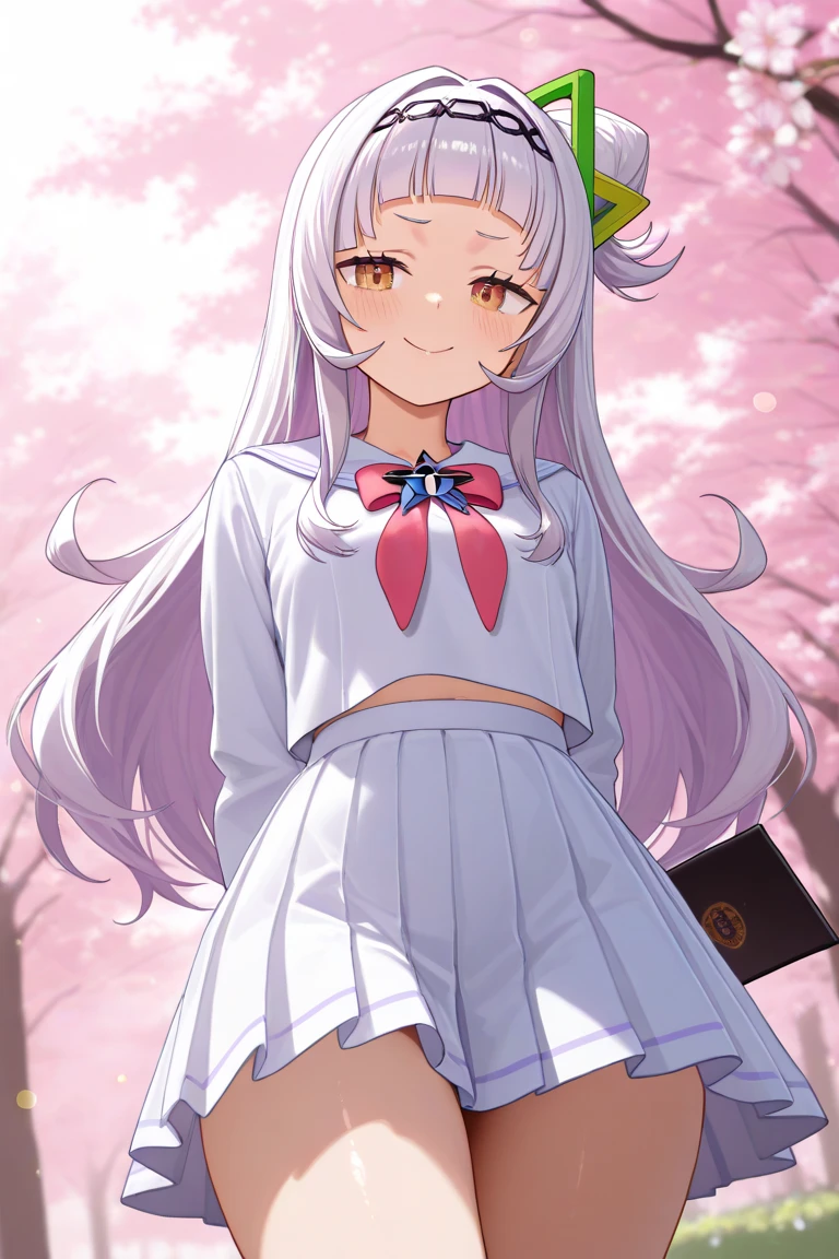 High quality DVD,4K,8k, ultra-fine in 8K,HDR,UHD,Ultra Fine Art - SeaArt AI