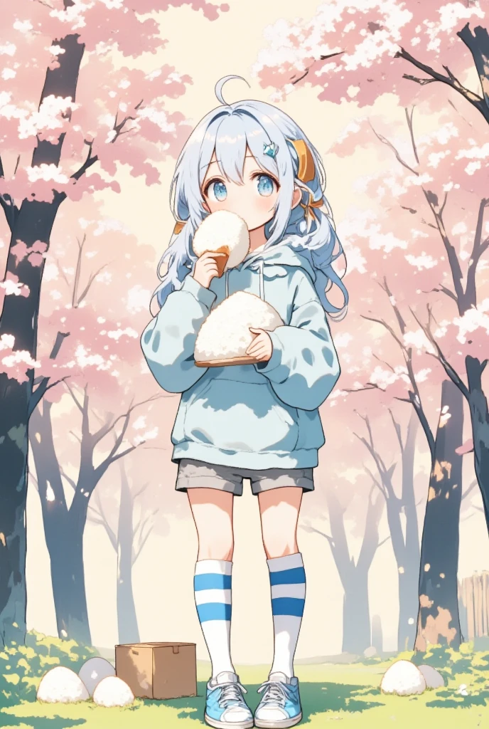 (masterpiece,Best Quality:1.2), alone,(OKMCN)\((🍙 Onigiri design ...