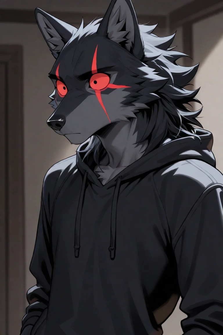 Skinny red-eyed furry black wolf boy, black sweatshirt - SeaArt AI