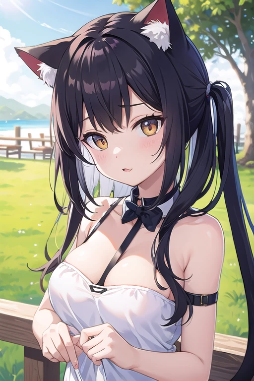 Nacho Neko, Outdoors, Cat ears, Cat's tail, animal ear, The hair is gray - SeaArt AI
