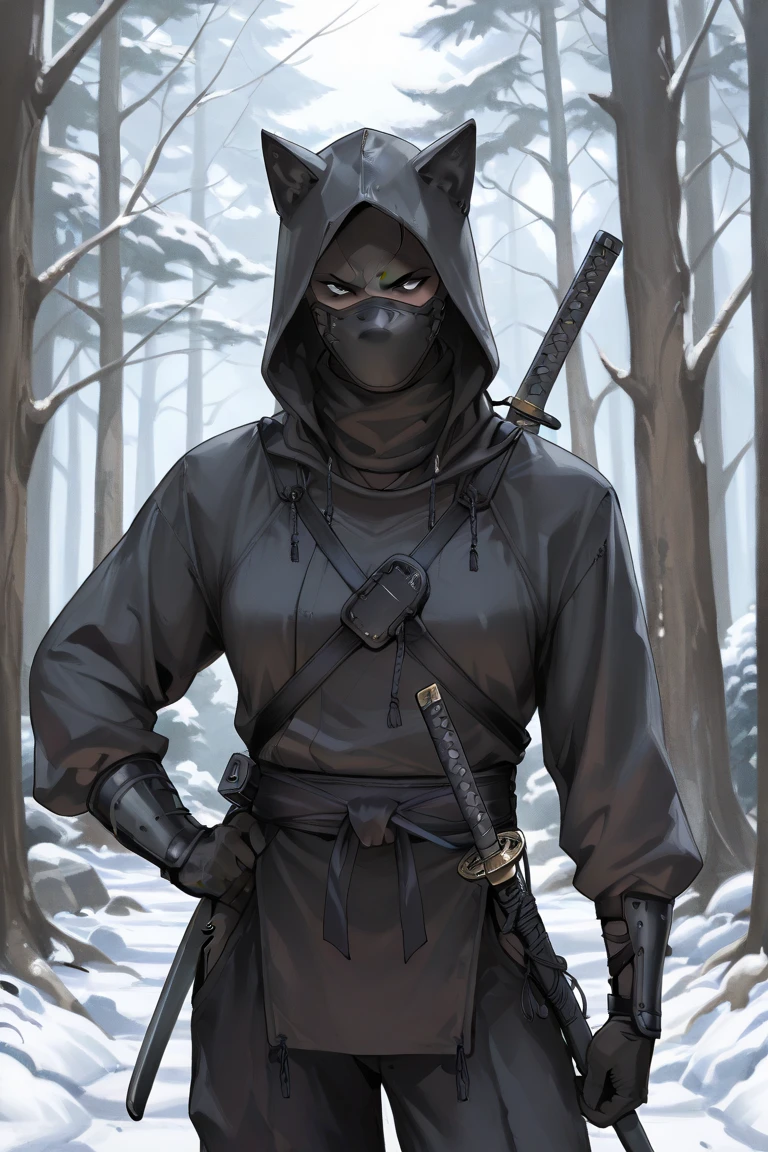 Tabaxi, Black Fur, Ninja, Katana on Hip, Wakazachi on back over ...