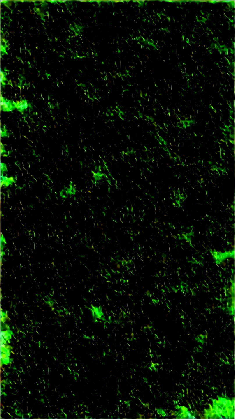 Two Russian doll of 12 de Tera Elin , fantasy star futuristic clothing ...