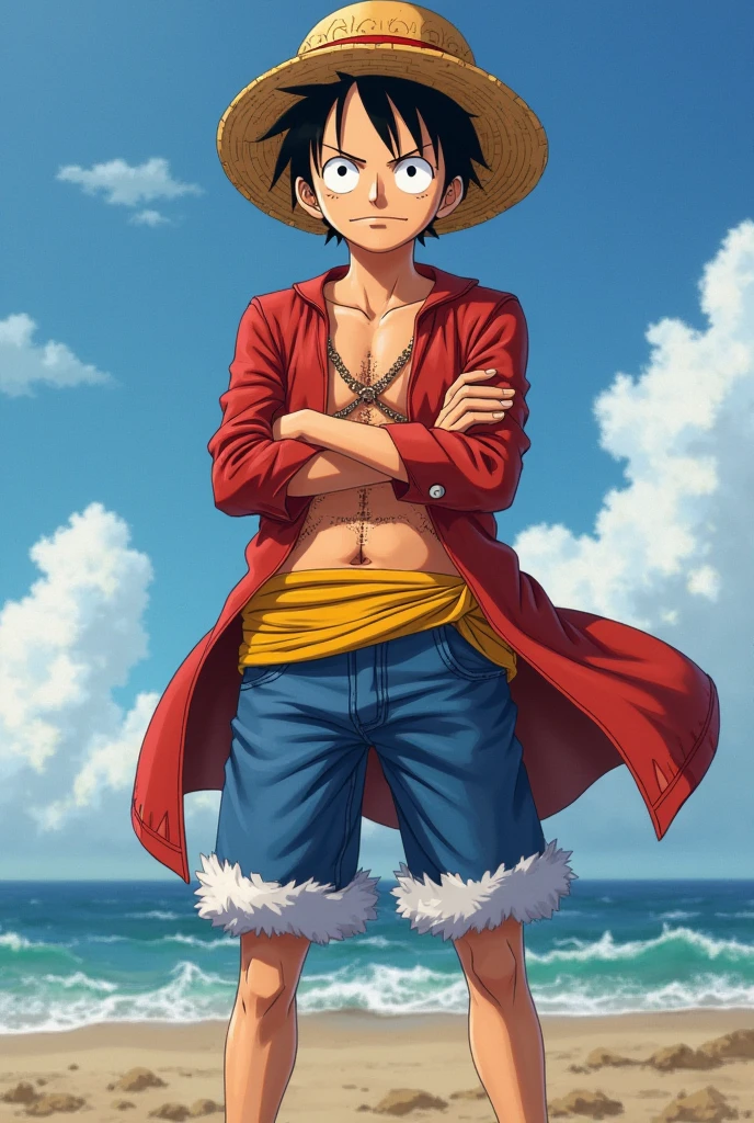 Instead of being carefree and impulsive like Luffy, this character is ...