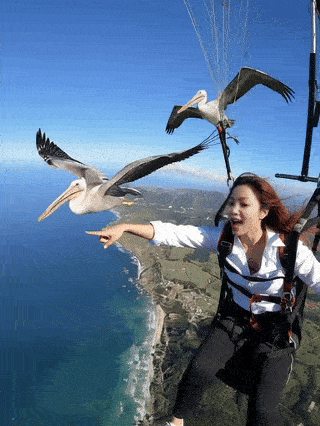 SeaArt AI | SkyGlide AI