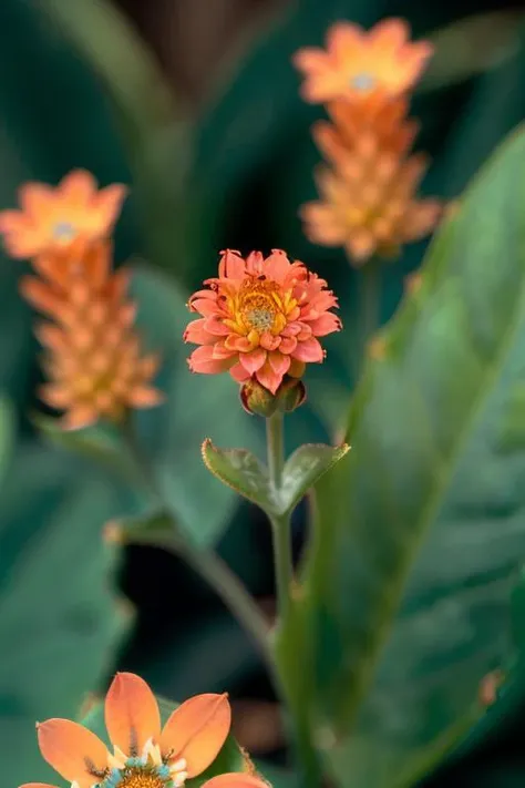 There is a small orange flower with a green stem in the middle - SeaArt AI
