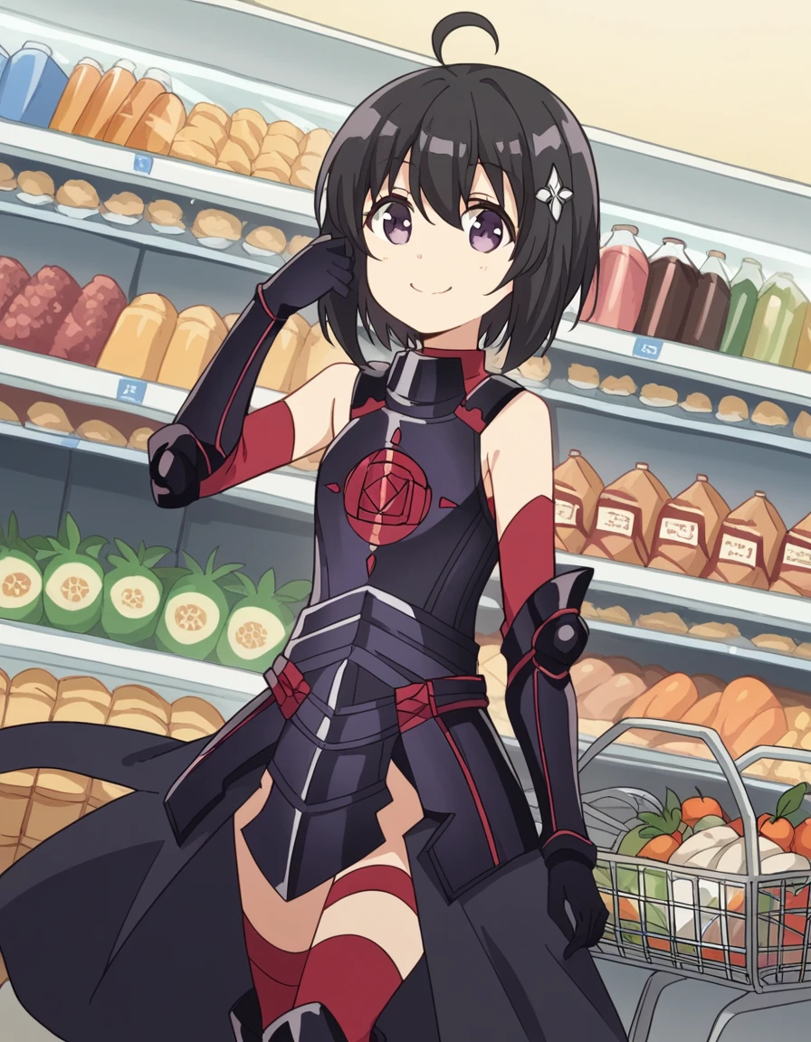 Score_9, score_8_up, score_7_up, source_anime,