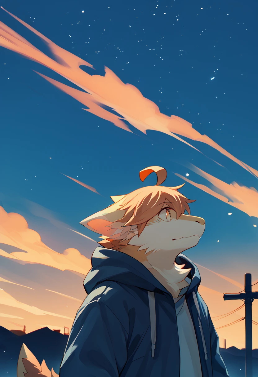 Score_9, score_8_up, score_7_up, by kuttoyaki, furry, ahoge, orange ...