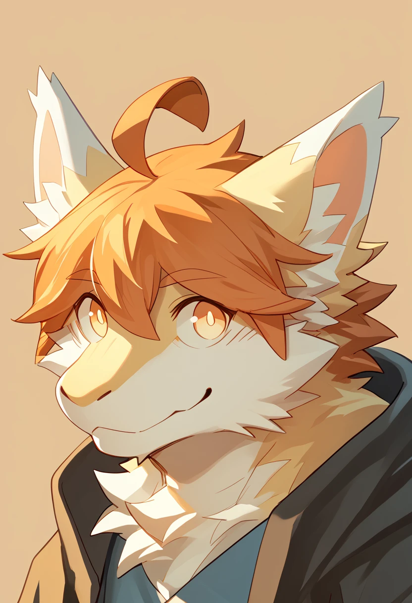 Score_9, score_8_up, score_7_up, by kuttoyaki, furry, solo, ahoge ...