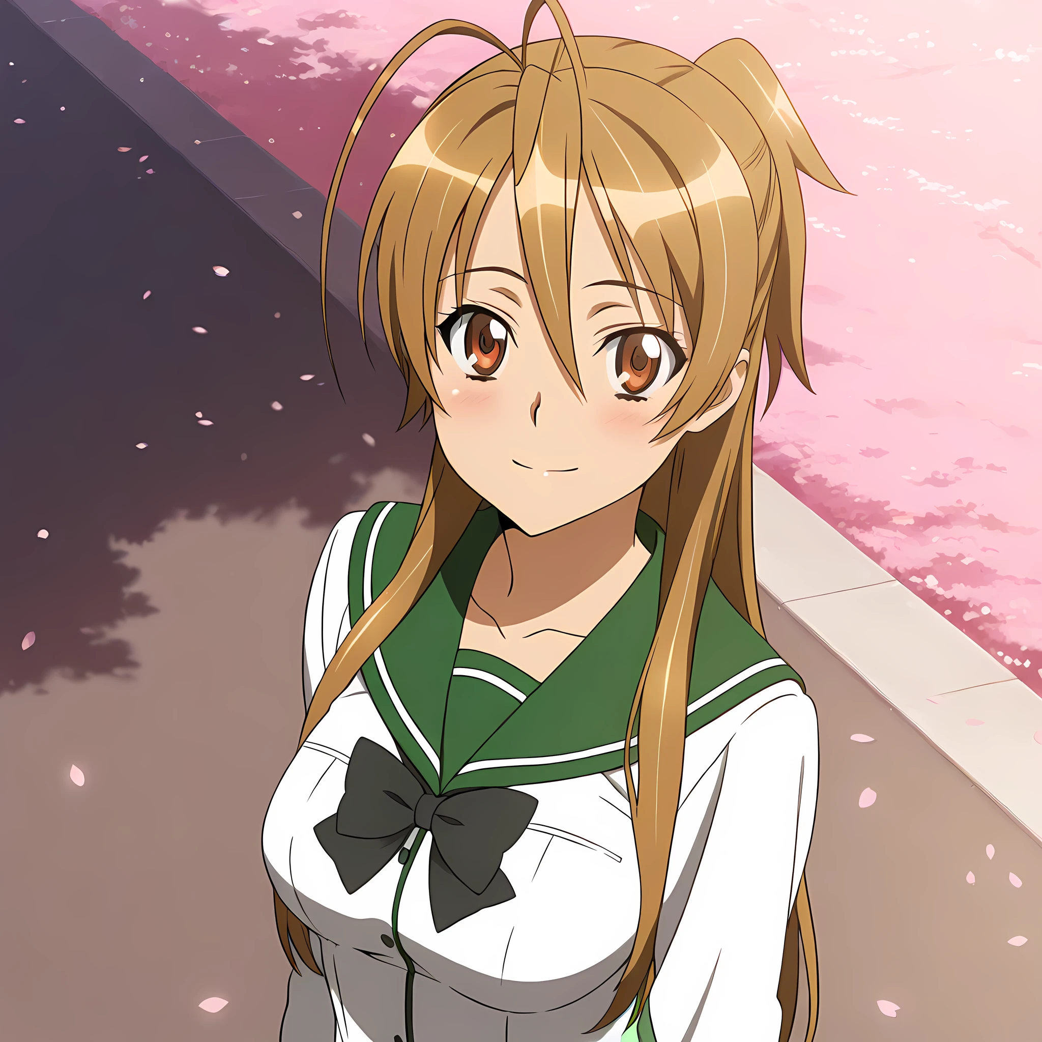 Miyamoto_rei_hotd, 1girl, solo, brown eyes, brown hair, long hair ...