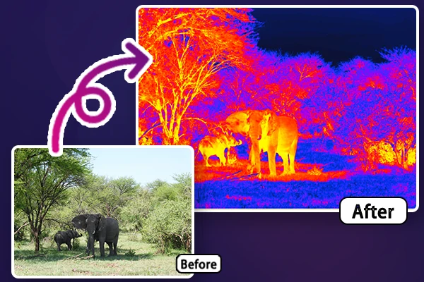 Thermal Filter: Transform Your Photos with Thermal Effects